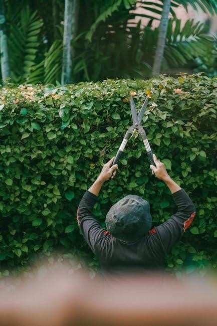 Pool Maintenance Guide: Tips & Tricks for a Sparkling Pool